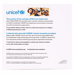 Hallmark UNICEF Boxed Christmas Cards, Peace On Earth Dove (12 Cards and 13 Envelopes) (1XPX2022)