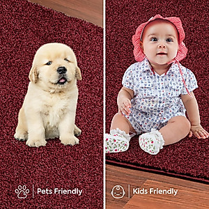 Bright House Solid Color Area Rugs Burgundy - 2' x 4' Rectangle, Indoor, Stain & Fade Resistant, Perfect for Living Room, Bedroom, Dining Room, Entryway, Doorway, Pet & Kids Friendly Rug, Wedding