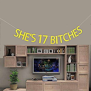 She's 17 bitches banner for 17th birthday party decorations funny hanging gold banner Risehy