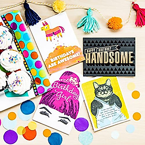 American Greetings Funny Birthday Card (Cat Wearing Argyle Sweater)