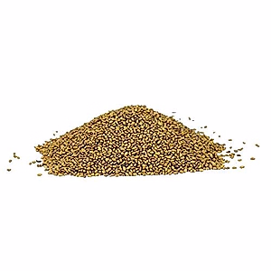 Alfalfa Sprouting Seed | Non GMO | Grown in USA | from Our Farm to Your Door (1 Pound (16oz))