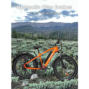 HAOQI Electric Bike for Adults, 26" x 4.0 Fat Tire Ebike, 750W Brushless Motor Mountain Bike with 48V 20AH Removable Battery, Electric Bicycle with 7 Speed to 28MPH