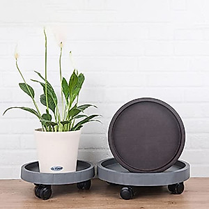 Plant Caddy Plants Mobile Base Plant Caddy Plant Tray on Wheels Plant Pot Base Can be Used in Office, Living Room, Balcony, Patio or Garden Flowerpot Tray (Color : Gray, Size : 22cm)