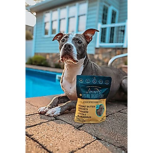 Jiminy's Cricket Treats - Hypoallergenic Dog Treats, 100% Made in The USA, Cricket Dog Treats, Gluten-Free, Sustainable, All Natural Dog Treats, High Protein - Peanut Butter & Blueberry, 6oz Bag