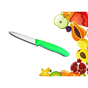 KitchenGear 12 Pcs Fruit Paring Knives - Knife Set of 12 - Small Kitchen Fruit Slicing Peeling Vegetable Tomato Knife 3.2" Inch Utility Small Straight Edge Spear Point - Best Gift Set