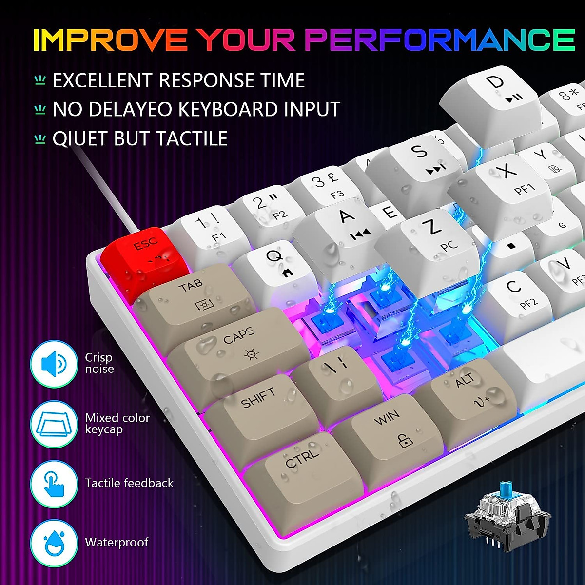 Mini Mechanical Gaming Keyboard Type-c Wired with PBT Dye-subbed Keycaps Rainbow RGB Backlit 60%Layout Full Anti-Ghosting 62 Key Ergonomic for Typist Laptop PC Mac Gamer (White Main/Blue Switch)