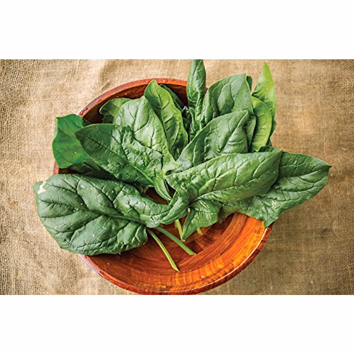 Burpee A La Carte Hybrid Spinach Seeds 300 seeds