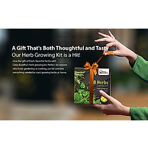 Grow Buddha herb Seeds Variety Pack, Your Own Gardening Kit – Easily Grow Your own herb Garden with Our Complete Beginner Friendly herb Seeds Starter Kit – Unique Gift Idea (8 Herbs Kit)