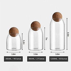 MOLADRI 1200ML/40Oz Clear Glass Storage Cute Canister Holder Ball Wood Cork Top, Modern Decorative Cylinder Container Jar with Round Lid for Coffee, Spice, Candy, Salt, Cookie Cool Terrarium Bottle