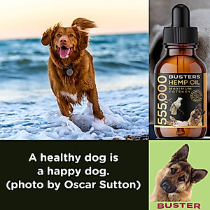 K2xLabs Buster's Organic Hemp Oil for Dogs and Pets, 4PACK-8MTH-supply, 555,000 Max Potency, Large 60ml Bottle, Made in USA - Miracle Formula, Perfectly Balanced Omega 3, 6, 9 - Joint Relief, Calming