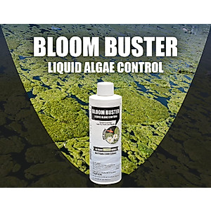 Bloom Buster Algae Control for Fish Ponds & Water Gardens - 8 Ounces - Safe for Koi Fish, Goldfish & Plants - Controls Algae in Ponds & Water Features, EPA Registered