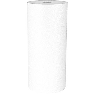 Pentair OMNIFilter RS16 Sediment Water Filter, 10-Inch, Whole House Heavy Duty Spun Polypropylene Replacement Cartridge, 10" x 4.5", White