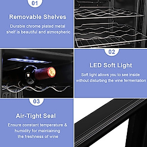 LEADZM 18 Bottle Freestanding Wine Fridge, Compressor Wine Cooler Refrigerator, Mini Wine Cellar for Red, White Wine and Champagne with Digital Temperature Control & Double-layered Glass Door