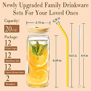 AJARAERA 20 oz Glass Cups with Lids and Straws,Beer Glasses,Drinking Glasses, Iced Coffee Cup,Glass Cups of 12