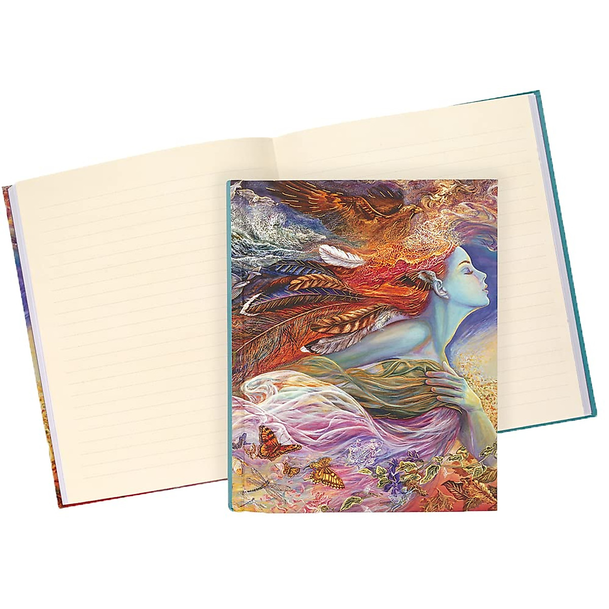 The Spirit of Flight Journal (Notebook, Diary) (Oversized Journal) (Journals)