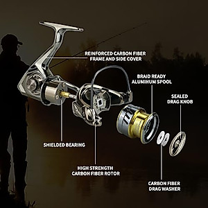 HISHARK Fishing Reel Spinning Reels, 5+1 Ball Bearings,6.2:1 Gear Ratio,HS 4000 Series, Ultra Smooth/Ultralight Perfect for Fishing