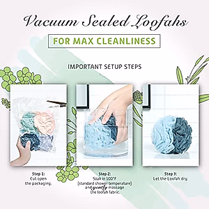 Spongentle Dual Texture Deep Cleansing Loofah Sponge for Radiant Skin, Pack of 4, Bath and Shower, Exfoliating Body Scrubber, Beautiful Colors for Women and Men