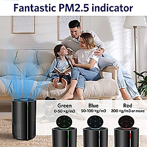 Air Purifier Filter - Air Choice 3-in-1 True HEPA Air Purifier Filter for AP-250A Air Purifier