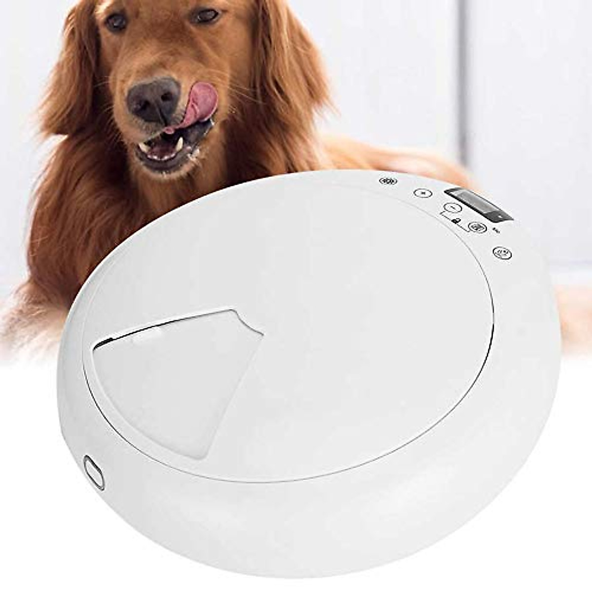 ZZK Smart Dial Automatic Pet Feeder Feeder Portion Control Digital Timer Removable Dogs and Cats Slip 6 Dinner Plates