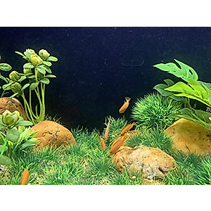 BEGONDIS Artificial Green Water Plants Flower Set 18 Pcs, Fish Tank Aquarium Decorations, Made of Soft Plastic