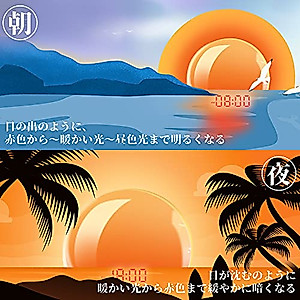 TITIROBA Wake Up Light, Sunrise Alarm Clock Radio, Bedside Lamp with Sleep Aid, Dual Alarms, Snooze, Colorful Lights, Natural Sounds for Kids Adults Bedroom