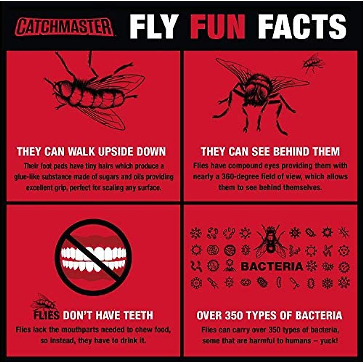 Reusable Trap Fly Jar by Catchmaster - 6 Count, Ready to Use Outdoors. Flying Insect BugTrap, Water Soluble Attract Attractant Scent. Blowfly Trap Captures Hundreds of Common Flies - Made in The USA