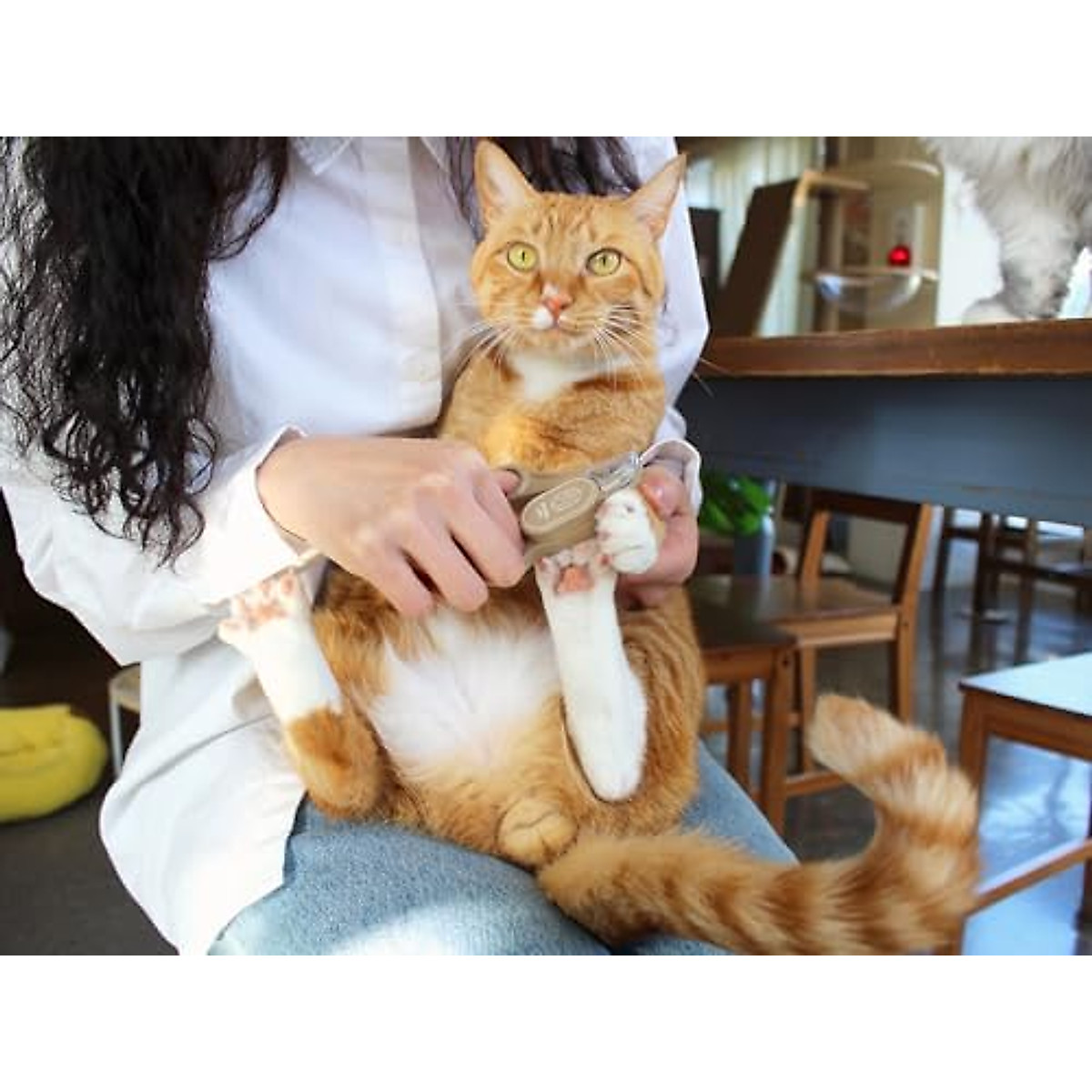 Walkinnwith LOOKUT Cat Nail Trimmers with Quick-Finder - Patent Designed Cat Claw Clippers - Cat Nail Clippers with Posco Steel Blades - Safe and Easy Cuts for Cats Claw Unas Garras de Gato