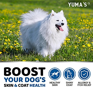 Omega 3 Fish Oil for Dogs - 170 Chews - Skin and Coat Supplement - Omega 3 for Dogs - Dry & Itchy Skin Relief Treatment - Allergy Support Dog Anti Shedding Treats - Salmon - EPA & DHA - Chicken Flavor