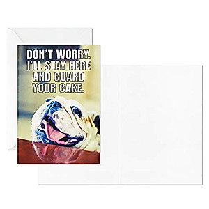 Hallmark Shoebox Funny Birthday Cards Assortment, 12 Cards with Envelopes (Tacos, Goldfish, Bulldog)