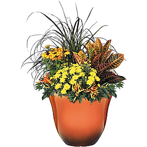 Classic Home and Garden Indoor/Outdoor Round Honeysuckle Resin Flower Pot Planter, Tequila Sunrise, 15" (Pack of 3)