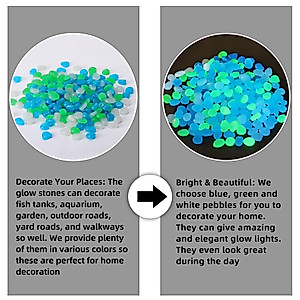 200 Pack Glow in The Dark Pebbles Stones, 100 Glow Blue / 50 Green / 50 White, Fish Tank Rocks Decoration for Garden, Aquarium, Plant Pots, Bonsai Walkway, Driveway (Set of 200)