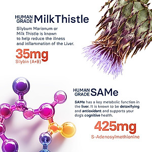 Liver Support & Health Supplement for Small Dogs and Cats – (Milk Thistle) Silymarin & Silybin Formula, (Same), S-Adenosylmethionine, 30 Tablets for Liver Detox & Support