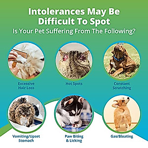 5Strands Pet Raw Food Intolerance & Environmental Sensitivity Test, at Home Test for Dogs & Cats, Hair Sample Collection Kit, All Ages and Breed, Results in 7 Days