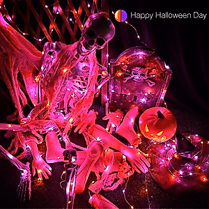 BrizLabs USB Halloween Fairy String Lights, 33ft 100 LED Color Changing Orange Purple Fairy Lights with Remote, USB Powered Multi Colored Xmas Tree Twinkle Light for Halloween Christmas
