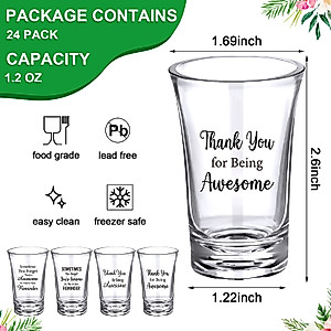 Karenhi 24 Pcs Thank You for Being Awesome Shot Glasses 1.2 Ounce Acrylic Shots Glass for Adults Thank You Gifts Inspirational Encouragement Christmas Gift for Teacher Employee Women Friends