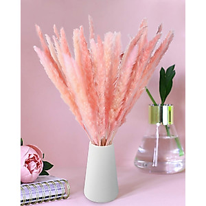 Omldggr 20 Pieces Natural Dried Pampas Grass Natural Dried Flowers Dried Reed Grass for Home Garden Office Party Wedding Decor(Pink)