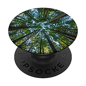 Nature Giant Redwood Trees PopSockets PopGrip: Swappable Grip for Phones & Tablets