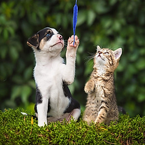 Zalmoxe 12 Pcs Fuzzy Worms on with a Invisible String Carnival Party Favors for Kids Birthday (12 Colors)