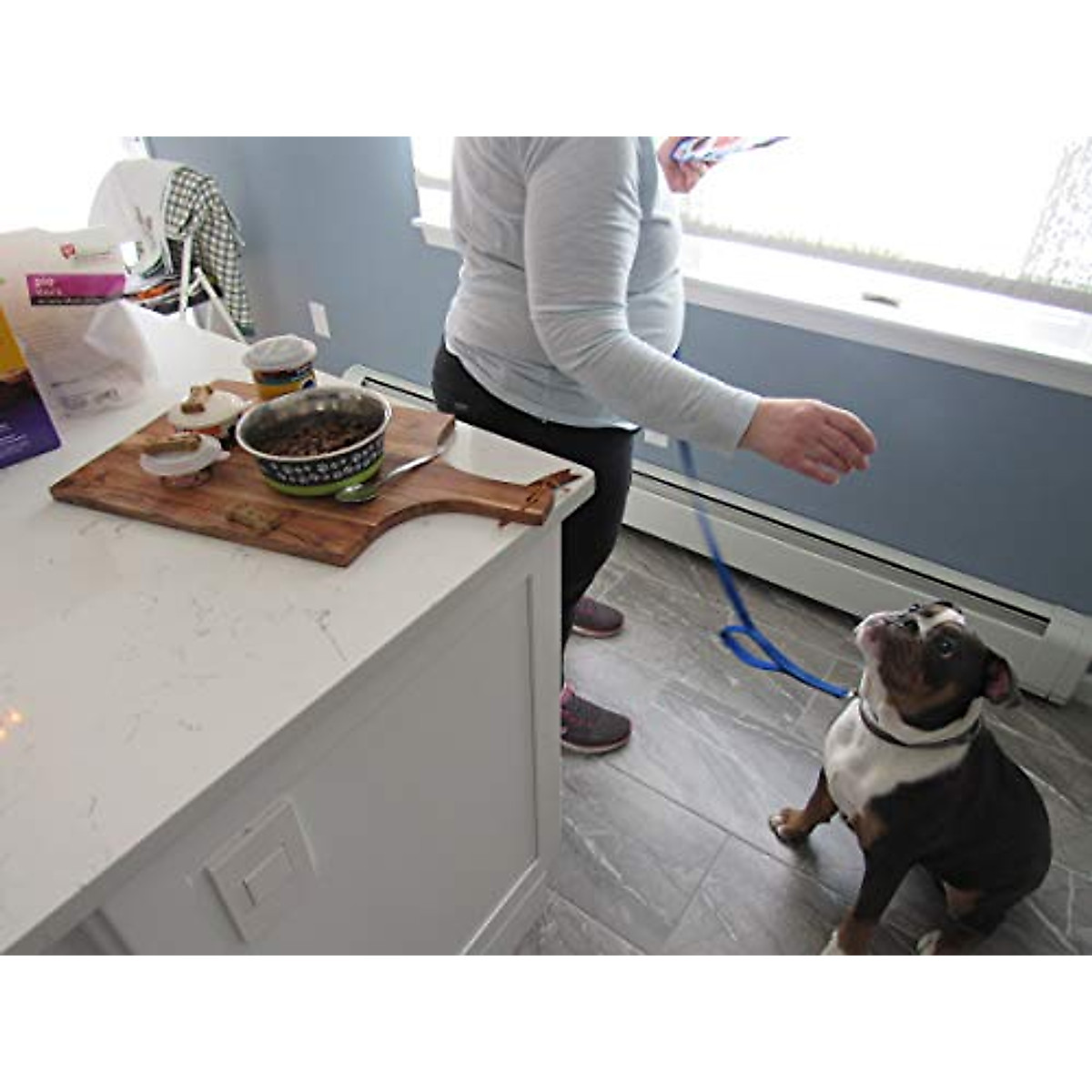 Smarter Seal, Pet Food Can Lids, 4-Pack, Clear Color, For Dog and Cat Food, One Size Lid Fits Most Sizes