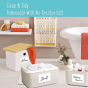 80 Large Size Removable Customizable Blank Labels, Water/Oil/Tear Resistant, No Residue for Home Organization Projects, Bins, Kitchen Storage Containers, Desk Items(6”x 4”)