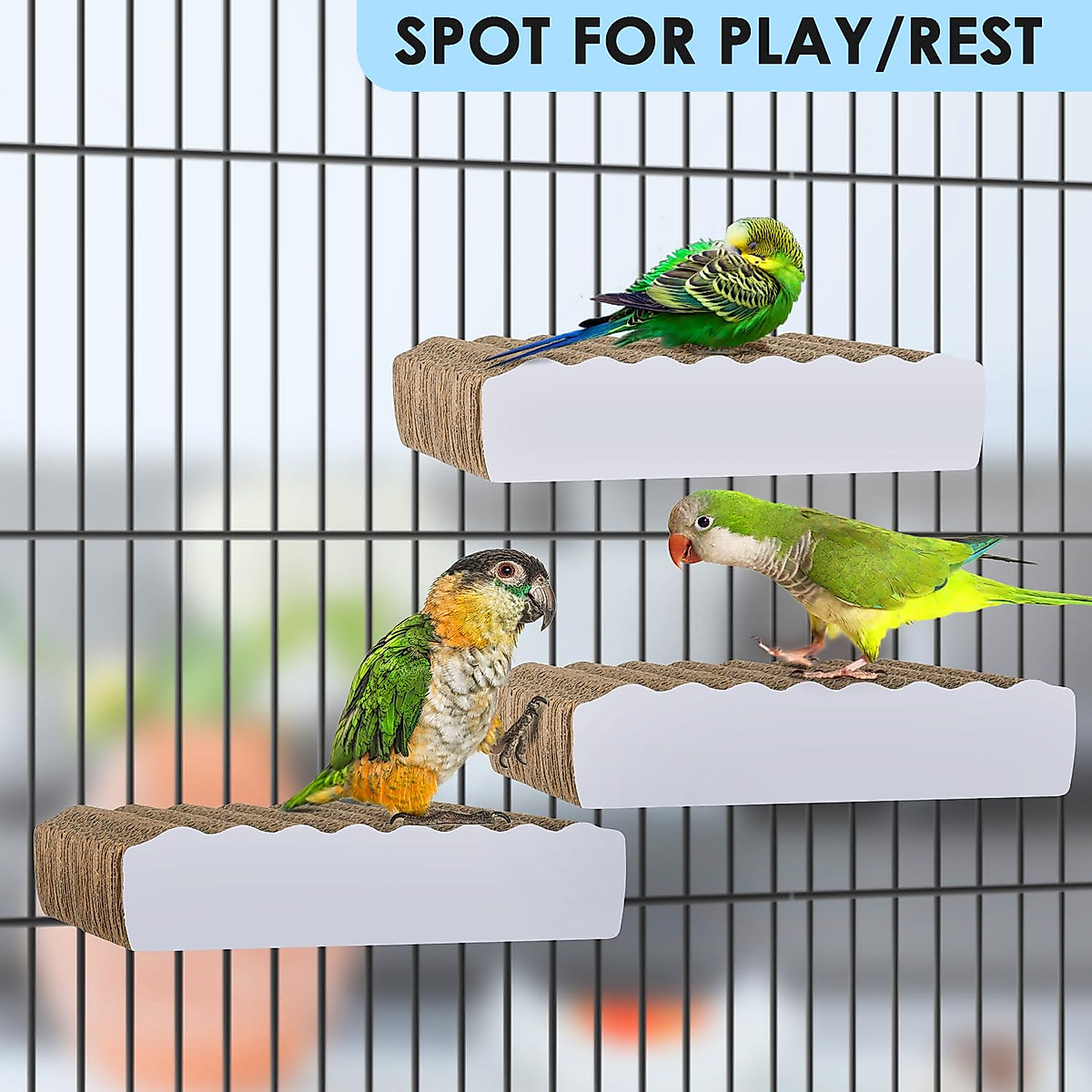 KATUMO Parrot Perch Parakeet Cage Stand Conure Platform Cockatiel Foraging Shredding Toys for Conure Cockatiel Lovebird Parrotlet Budgie Finches
