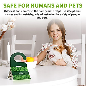 10 Pack Pantry Moth Traps - Glue Traps with Pheromone - Effective & Non-Toxic for Closet, Pantry & Kitchen - Moth Traps for Meal Moth Killer, Sticky Glue Flies Pest Food and Cupboard Moth Killer