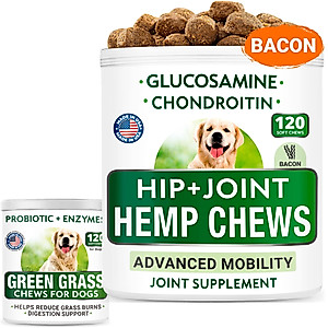 Hemp + Glucosamine + Grass Treatment for Dog Urine Bundle - Joint Pain Relief + Grass Restore - Hemp Oil, Chondroitin w/MSM, Omega 3 + Probiotics - Hip & Joint Supplement + Pee Lawn Repair - 240 Chews