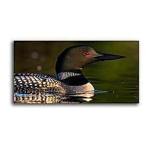 Large Wall Art Loon with red glow in eye Painting Poster Print on Canvas Artwork for Living Room Bedroom Stretched and Framed Ready to Hang 20”x40”