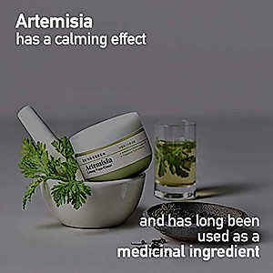 BRING GREEN Artemisia Calming Repair Cream - Daily Skincare Routine for Redness Relief, Soothing Sensitive, Irritated Skin with Salicylic Acid 2.53 fl.oz, 75ml