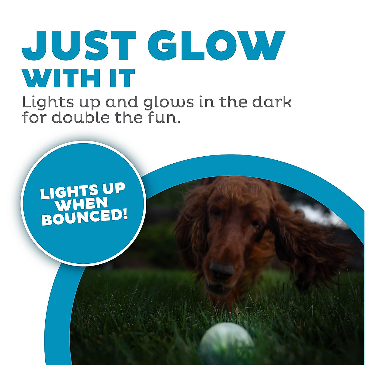 Outward Hound by Planet Dog Strobe Ball Glo Light Up LED Ball Dog Toy