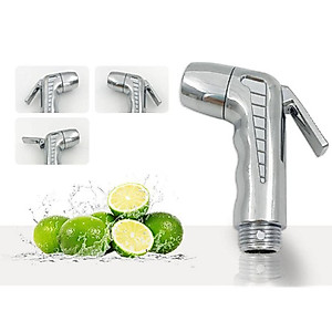 Catgol Bidet Sprayer Nozzle Douche Spray Chrome Toilet Shower Head - Wash Car, Water