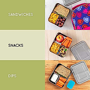 WeeSprout 18/8 Stainless Steel Bento Box (Compact Lunch Box) - 3 Compartment Metal Lunch Containers, for Kids & Adults, Bonus Dip Container, Fits in Lunch Bag & Backpack