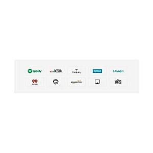 Arylic A30+ WiFi & Bluetooth 5.0 Mini Stereo Amplifier, 2 Channel Class D Wireless Amplifier, Home Amplifier for Speakers with spotify,airplay,Multiroom/multizone Digital Audio Speaker Amp