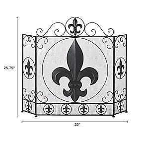Zings & Thingz 57071349 French Flair Fireplace Screen, No Size, Black
